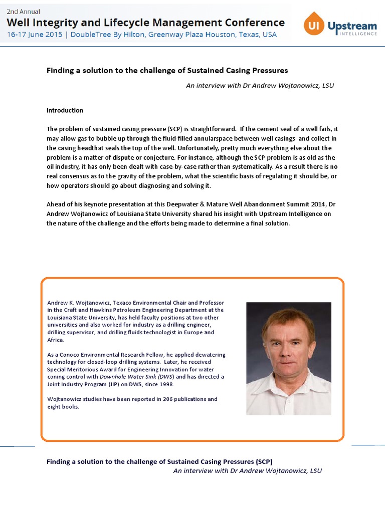 Well Integrity Management | PDF | Oil Well | Casing (Borehole)