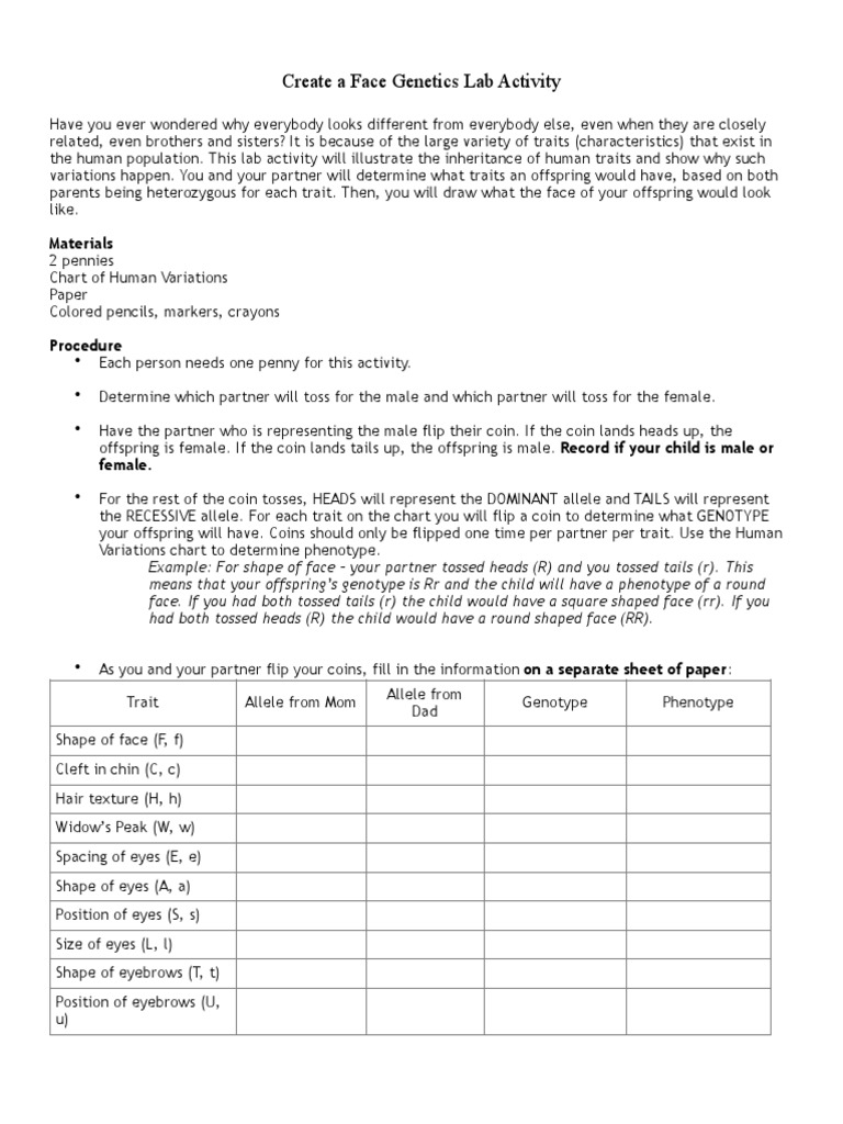 Create A Face Genetics Lab Activity | PDF | Phenotypic Trait ...