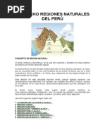 Informe Region NOA | PDF | Entorno natural | Ciencias de la Tierra
