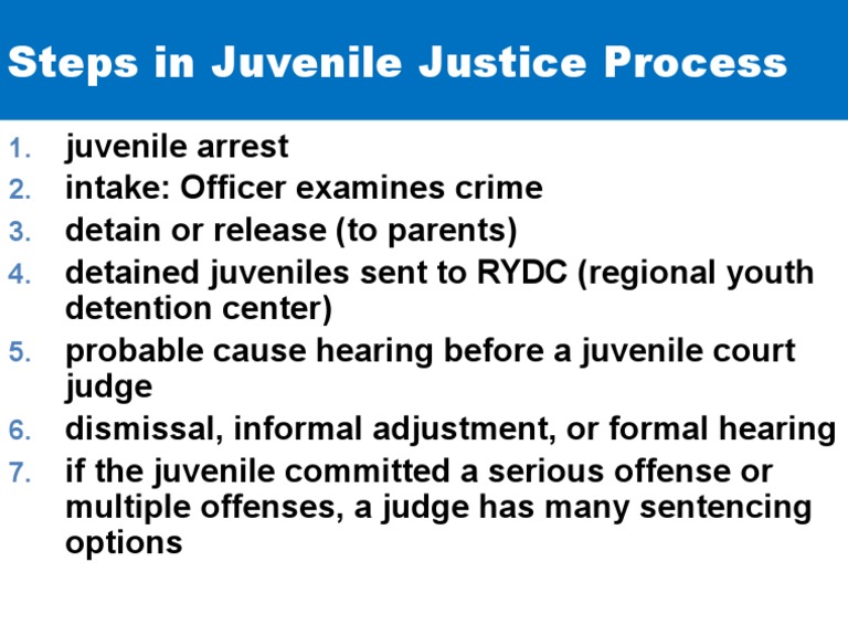 Juvenile Justice Process | PDF