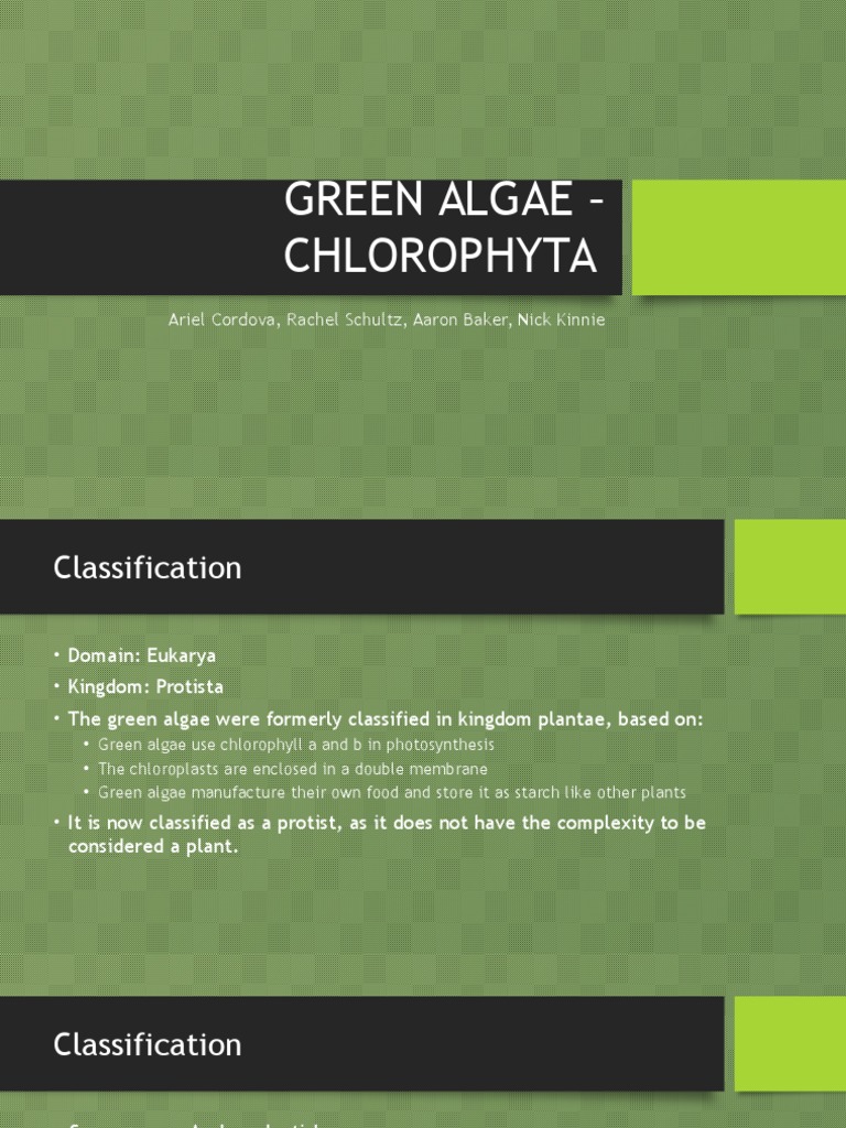 Green Algae - Chlorophyta | PDF | Plants | Algae