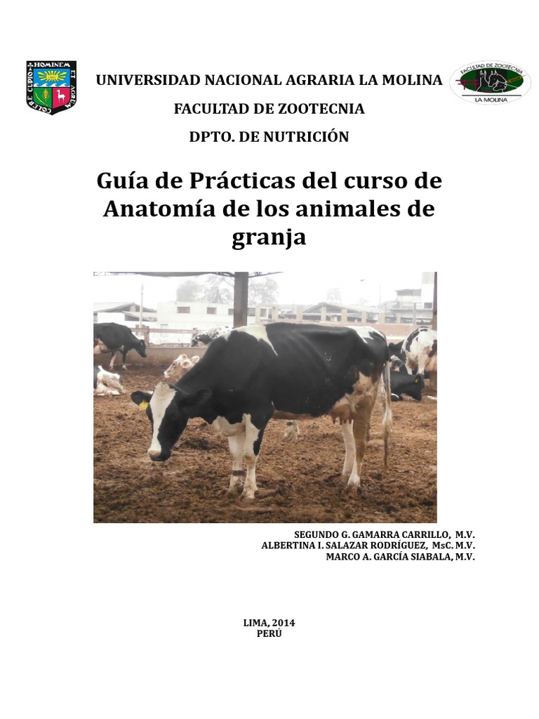 Guía De Practica De Anatomía 2014 Practica 1 Pdf Vértebra Tórax
