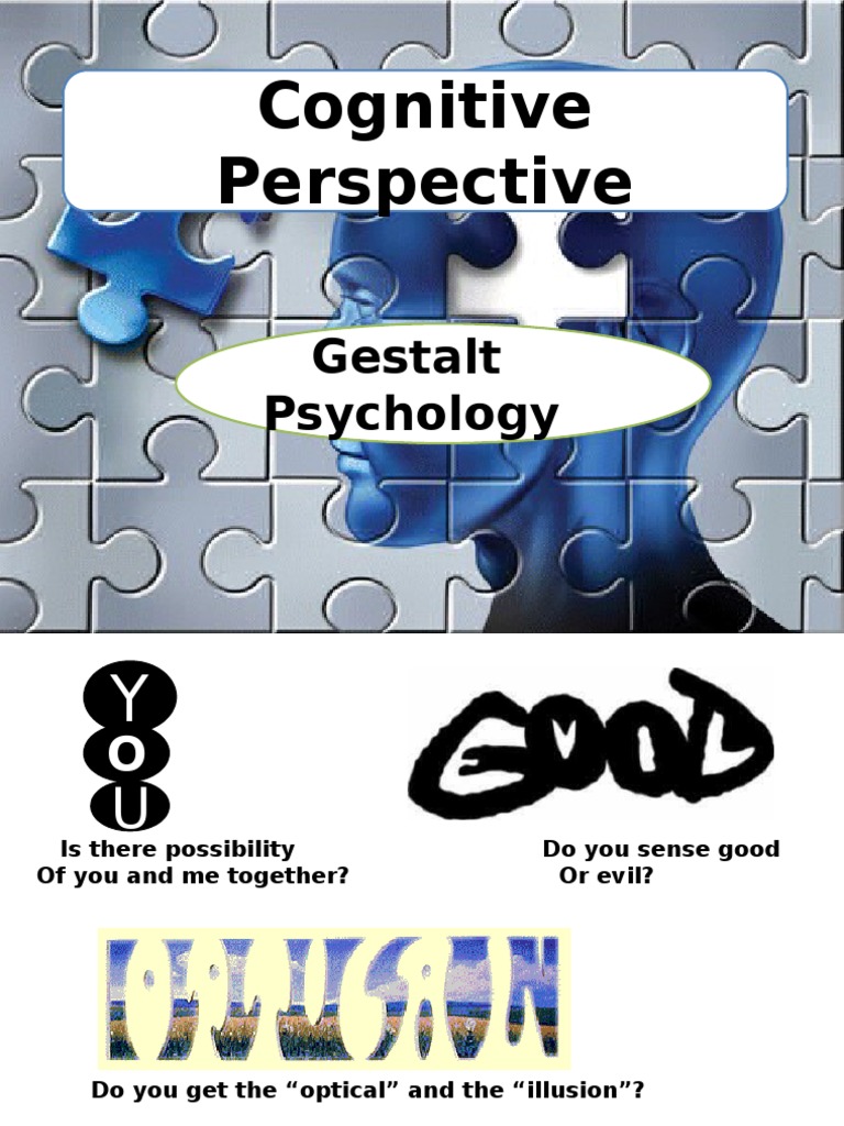 Cognitive Perspective | Subjective Experience | Experimental Psychology