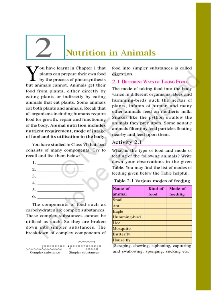 Nutrition in Animals | PDF | Digestion | Human Digestive System