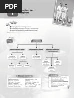Chest X-Ray Template | PDF | Lung | Thorax