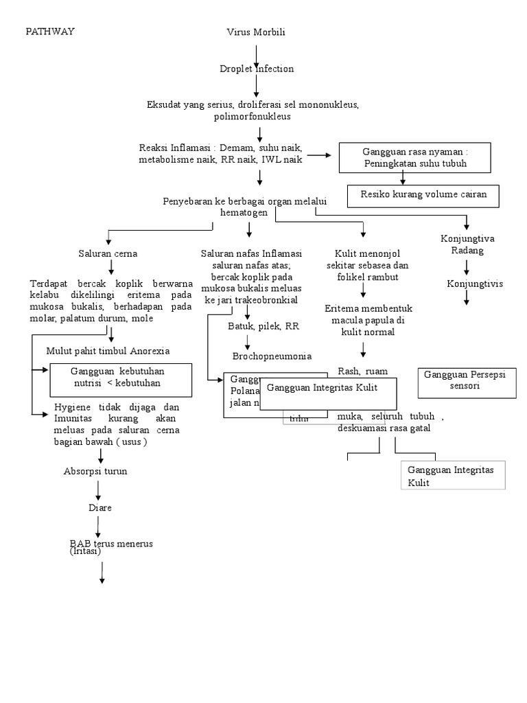 PATHWAY Morbili New Print Defau | PDF