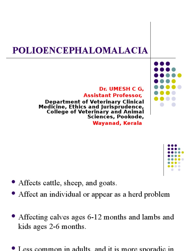 Polioencephalomalacia in goats | Clinical Medicine | Medical Specialties