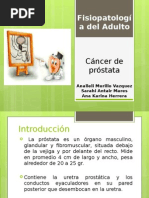 triptico - Cáncer de la Próstata.doc | Cancer de prostata | Cáncer ...
