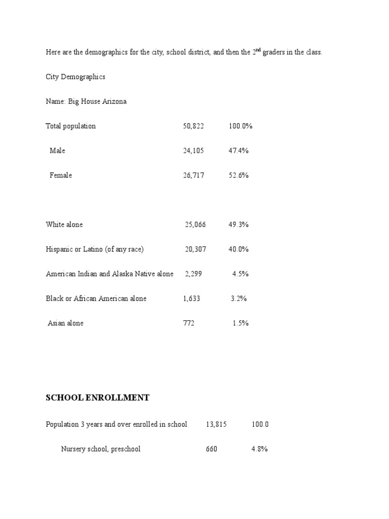 Big House AZ School Demographics Overview | PDF