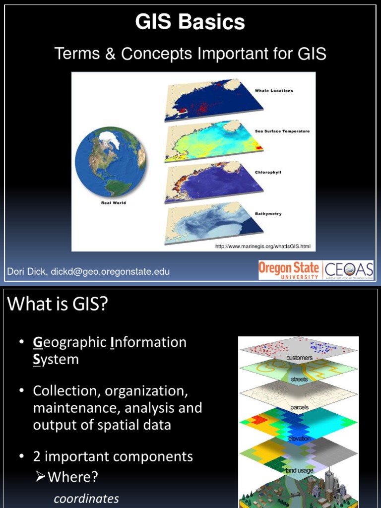 Gis Basics Terms And Concepts Important For Gis Pdf Arc Gis Esri
