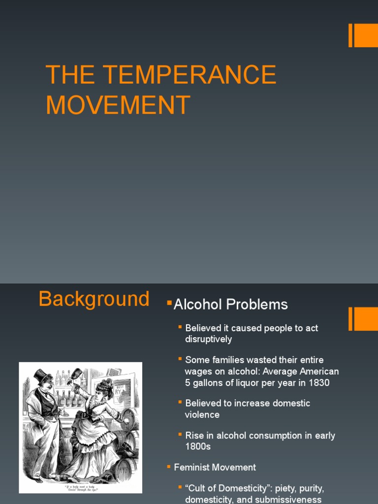 Goals of the 1800s Temperance Movement | PDF