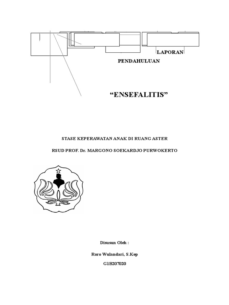LP Ensefalitis R Aster | PDF