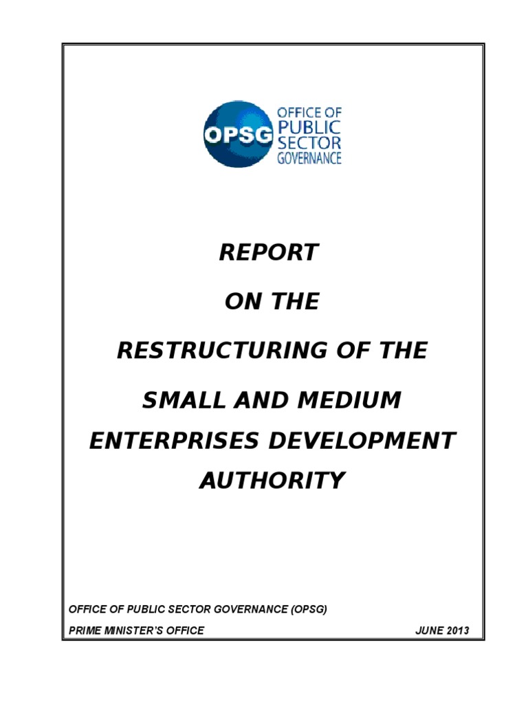 Final Report Restructuring SMEDA June 13 | PDF | Small And Medium Sized ...
