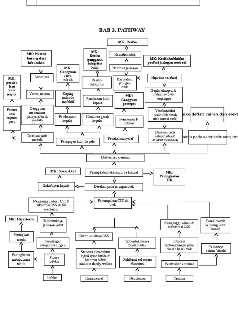 Hidrosefalus. Pathway | PDF