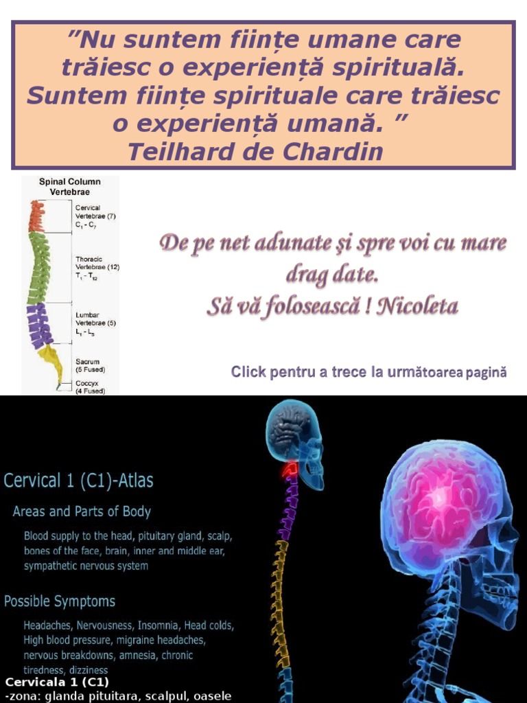 Coloana Vertebrala | PDF