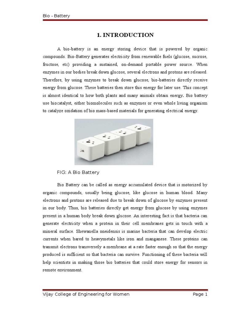 Bio Battery | PDF | Anode | Cathode