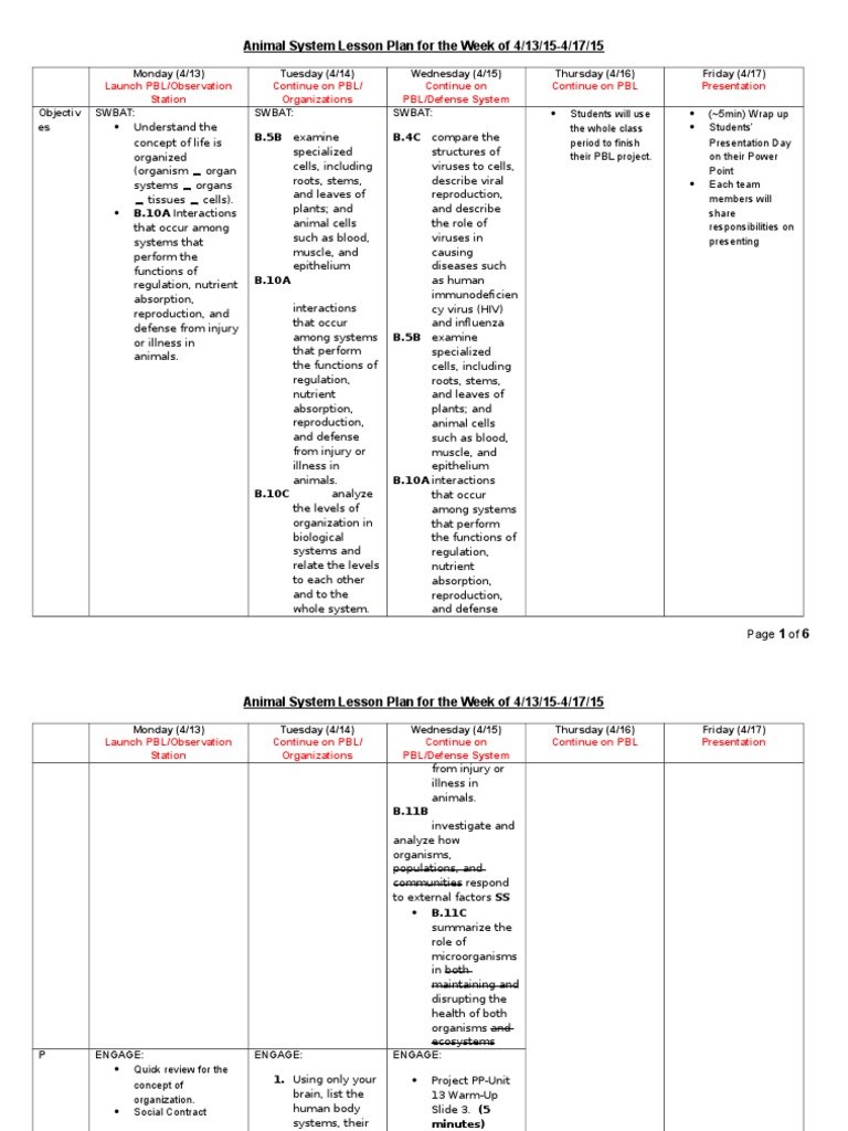 Animal System Lesson Plan | PDF | Virus | Lung