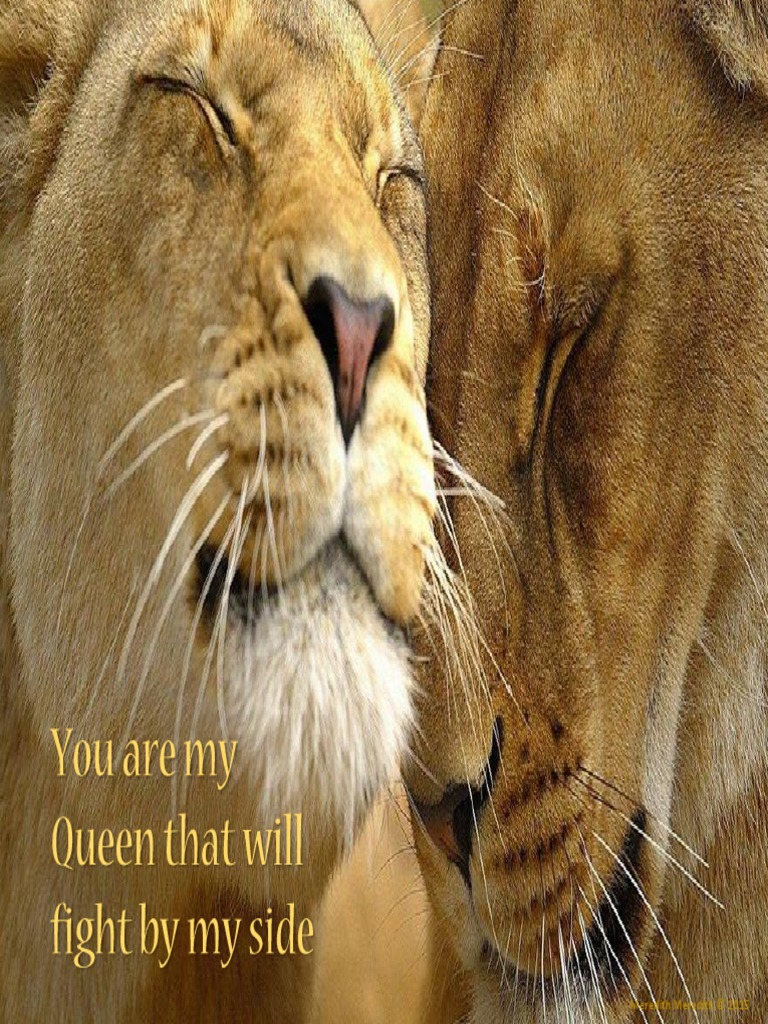 You Are My Queen | PDF