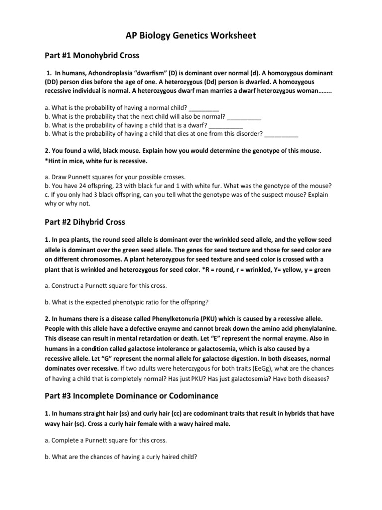 Gen Worksheet | PDF | Dominance (Genetics) | Allele