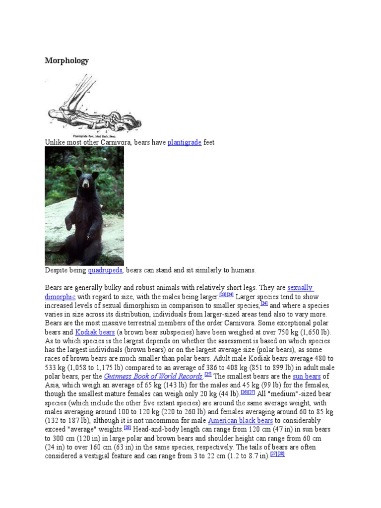 Morphology: Plantigrade | PDF