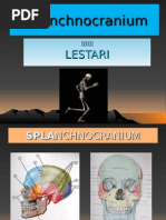 Regio Kepala Dan Leher Anatomi Topografi | PDF