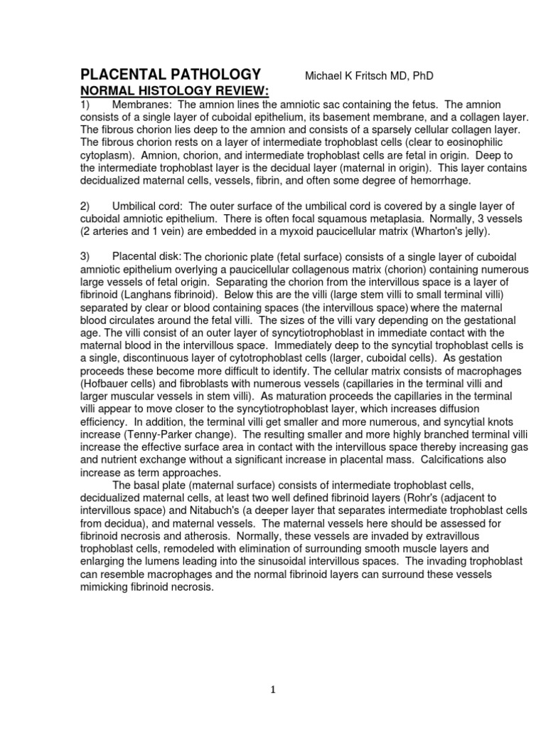 Placental Pathology Notes Aspen 2014 - Fritsch Final | PDF ...
