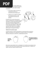 Clasificación de Winter | PDF | Naturaleza