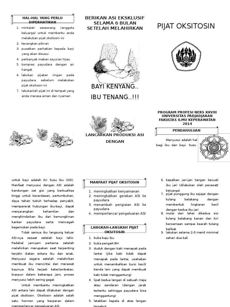 Leaflet Pijat Oksitosin | PDF