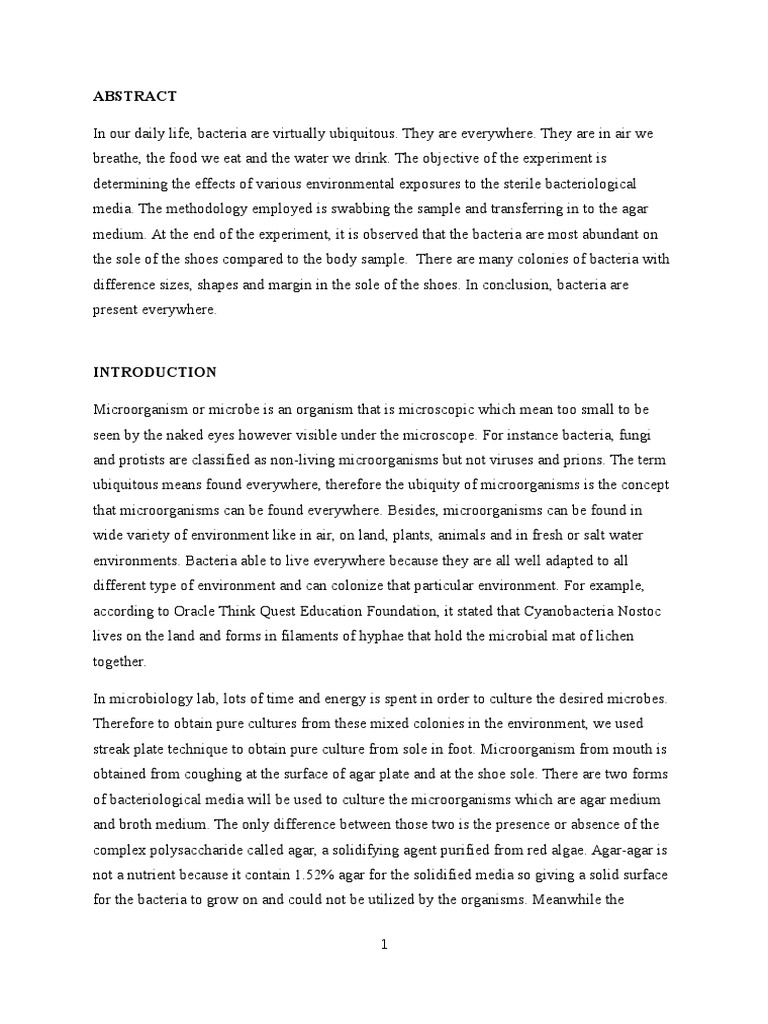 Lab Ubiquity of Bacteria | PDF | Growth Medium | Microorganism