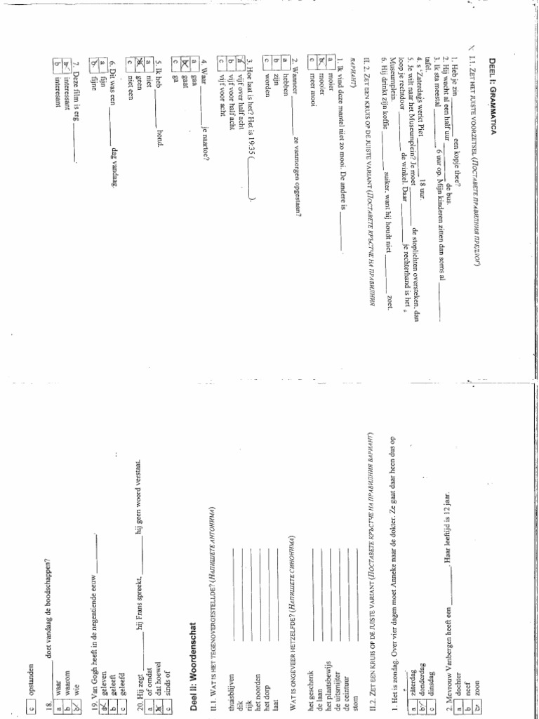 Dutch Test A1 | PDF