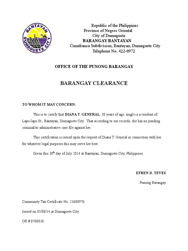 Barangay Clearance | PDF | Social Institutions | Social Science