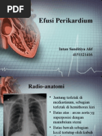 Anatomi dan Segmen Hepar Manusia | PDF