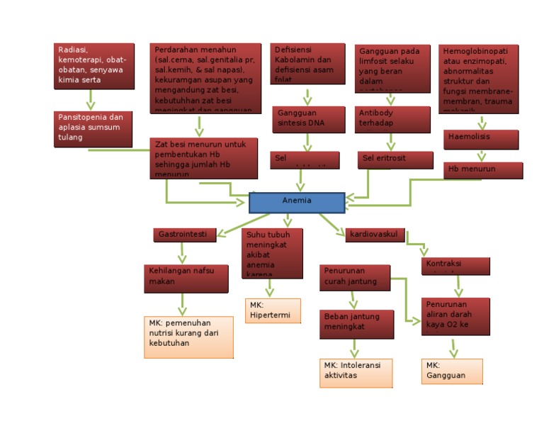 Woc Anemia New | PDF