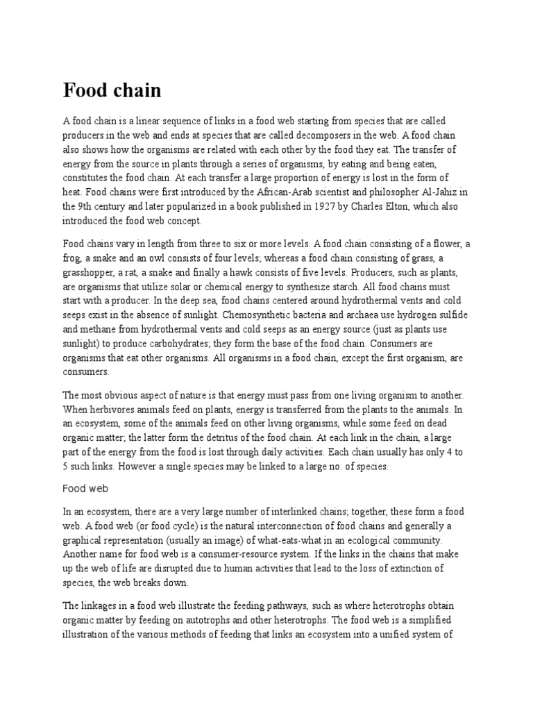Food Chain | PDF | Food Web | Ecosystem
