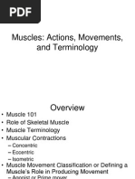 BTEC Sport Level 3 Revision Guide Muscular System | PDF
