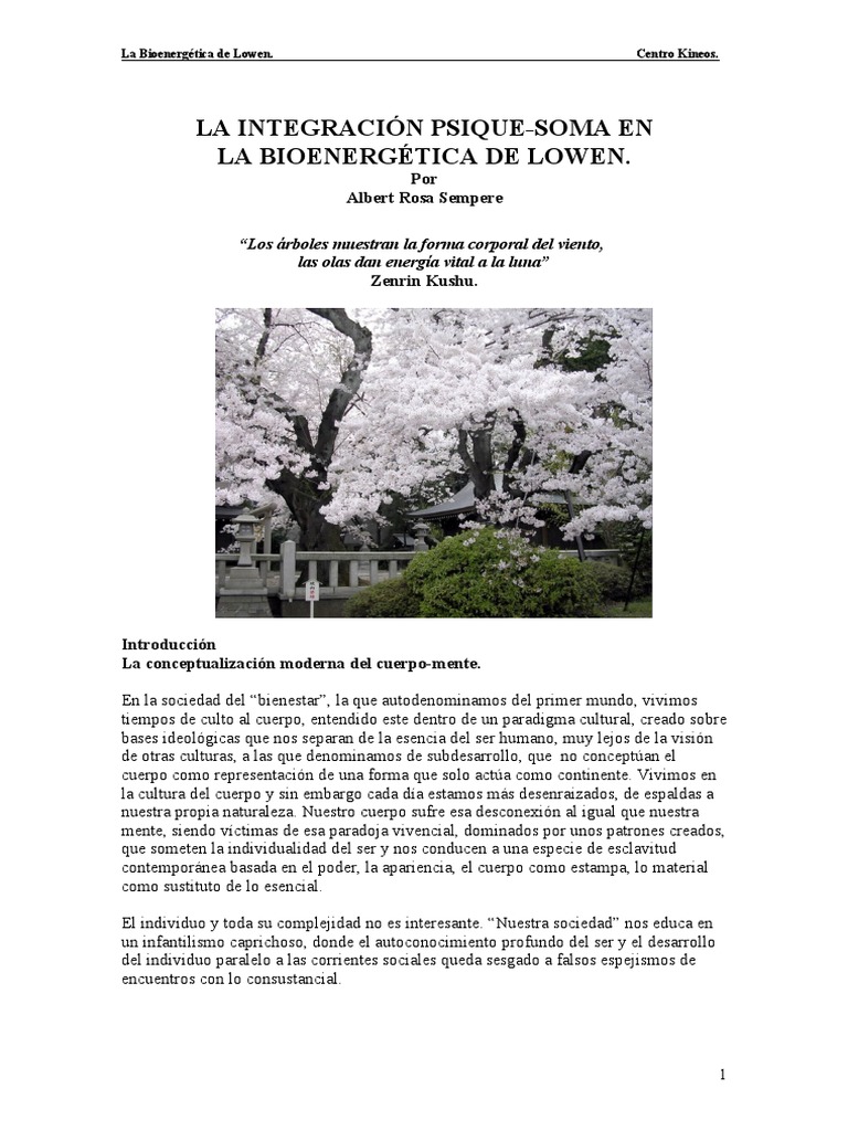 La Integracion Psique Soma | PDF | Mente | Las emociones