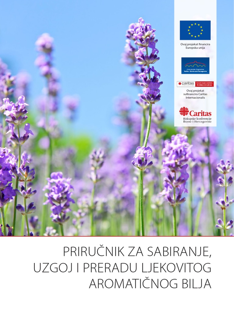 Uzgolj Ljekovitog Bilja | PDF