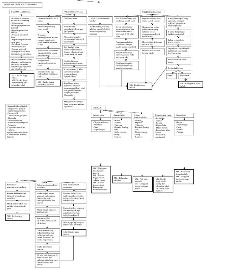 Pathways Infeksi Neonatorum | PDF