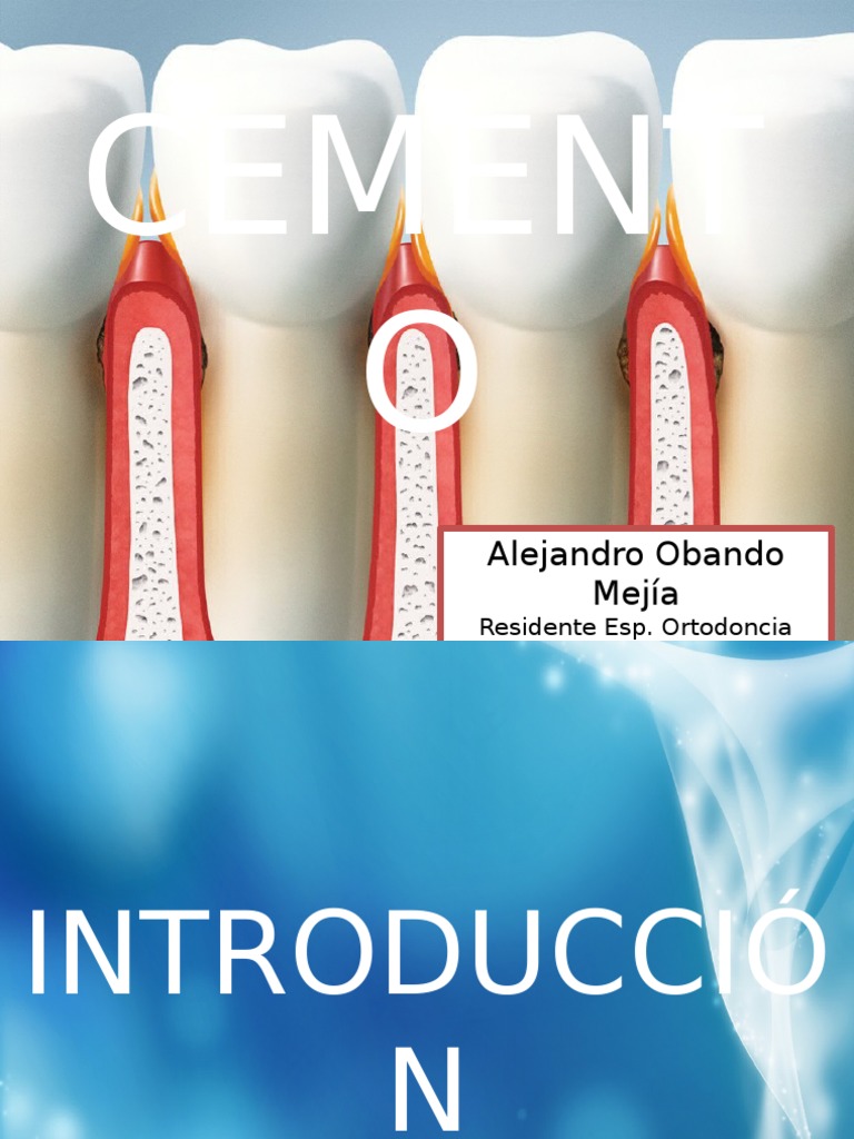 Cemento Radicular | Diente humano | Anatomia dental