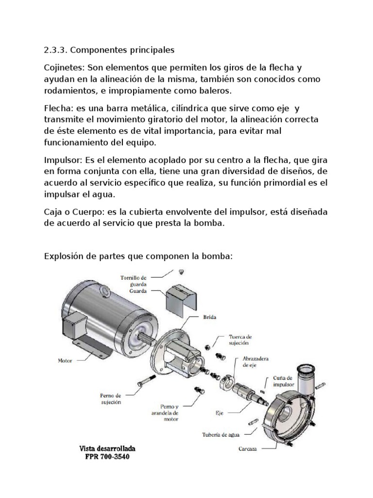 Componentes Bomba