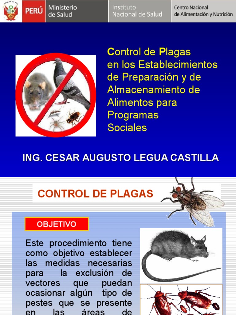 Control de Plagas | Plaga (organismo) | Rata
