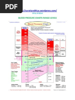 Home Blood Pressure Diary | PDF | Blood Pressure | Hypertension