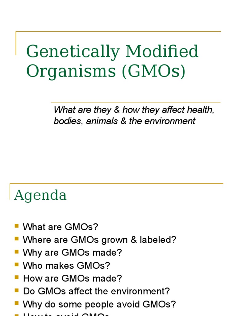 Genetically Modified Organisms Gmos | PDF | Genetically Modified ...