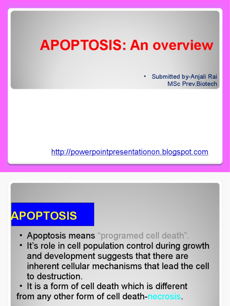 Apoptosis: An Overview: - Submitted By-Anjali Rai MSC Prev - Biotech ...