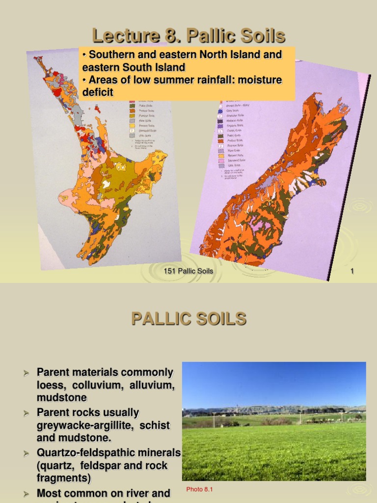 8 Lecture 8 Pallic Soils S1 2012 | PDF | Drainage | Topsoil