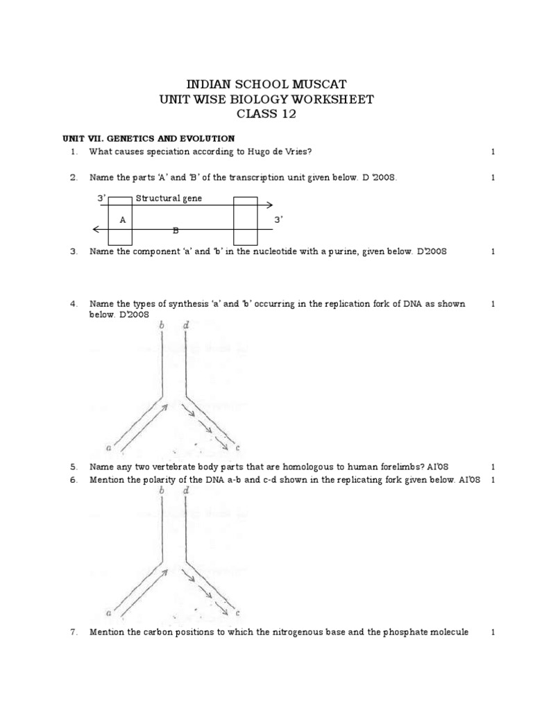 Class XII Biology Worksheet Genetics and Evolution | PDF | Gene ...