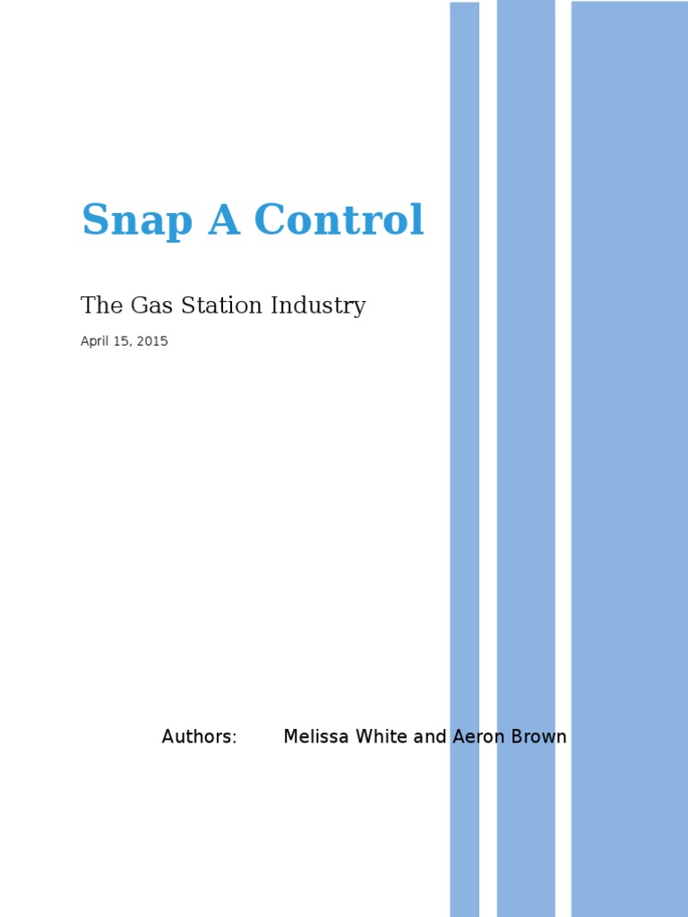 Gas Station Risk Management Controls | PDF | Filling Station | Audit