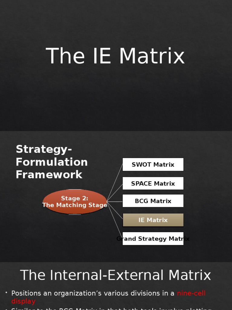 IE Matrix Report | PDF