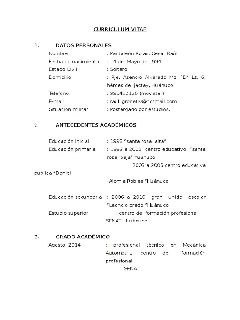 Curriculum Vitae Raul | PDF | Vehículo de motor | Science