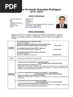 Ejemplo de CV Documentado | PDF | Ciencias de la Computación | Computadoras personales